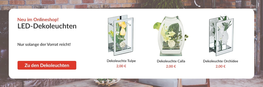 Onlineshop für Renovierungsbedarf | tedox