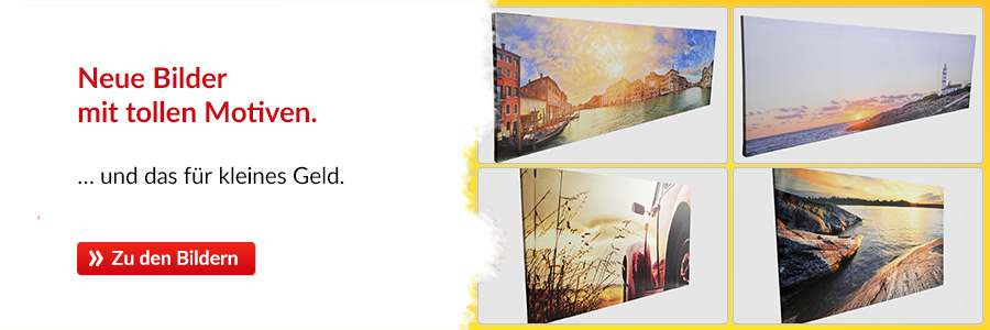 Onlineshop für Renovierungsbedarf | tedox